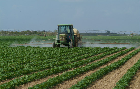 About Us | Syngenta US