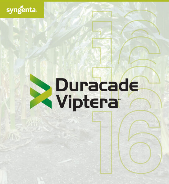 Syngenta Corn Traits | Syngenta US